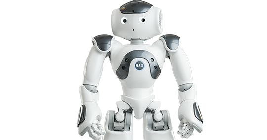 Support for NAO, RobotsLAB BOX | NAO